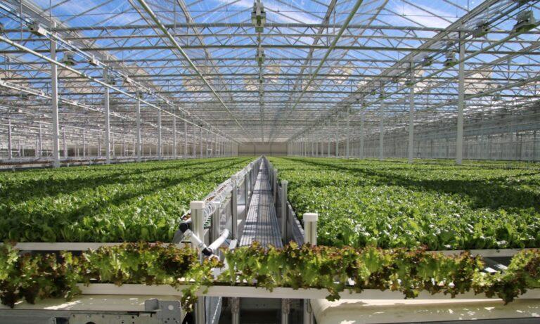Green Automation