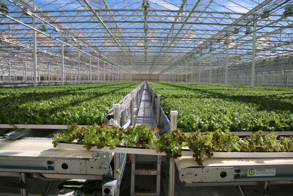 Our growing systems – Green Automation