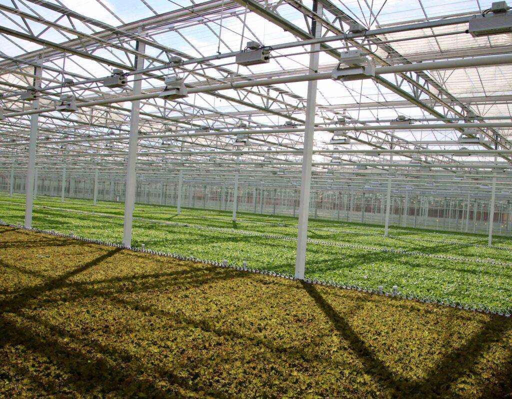 Our growing systems – Green Automation