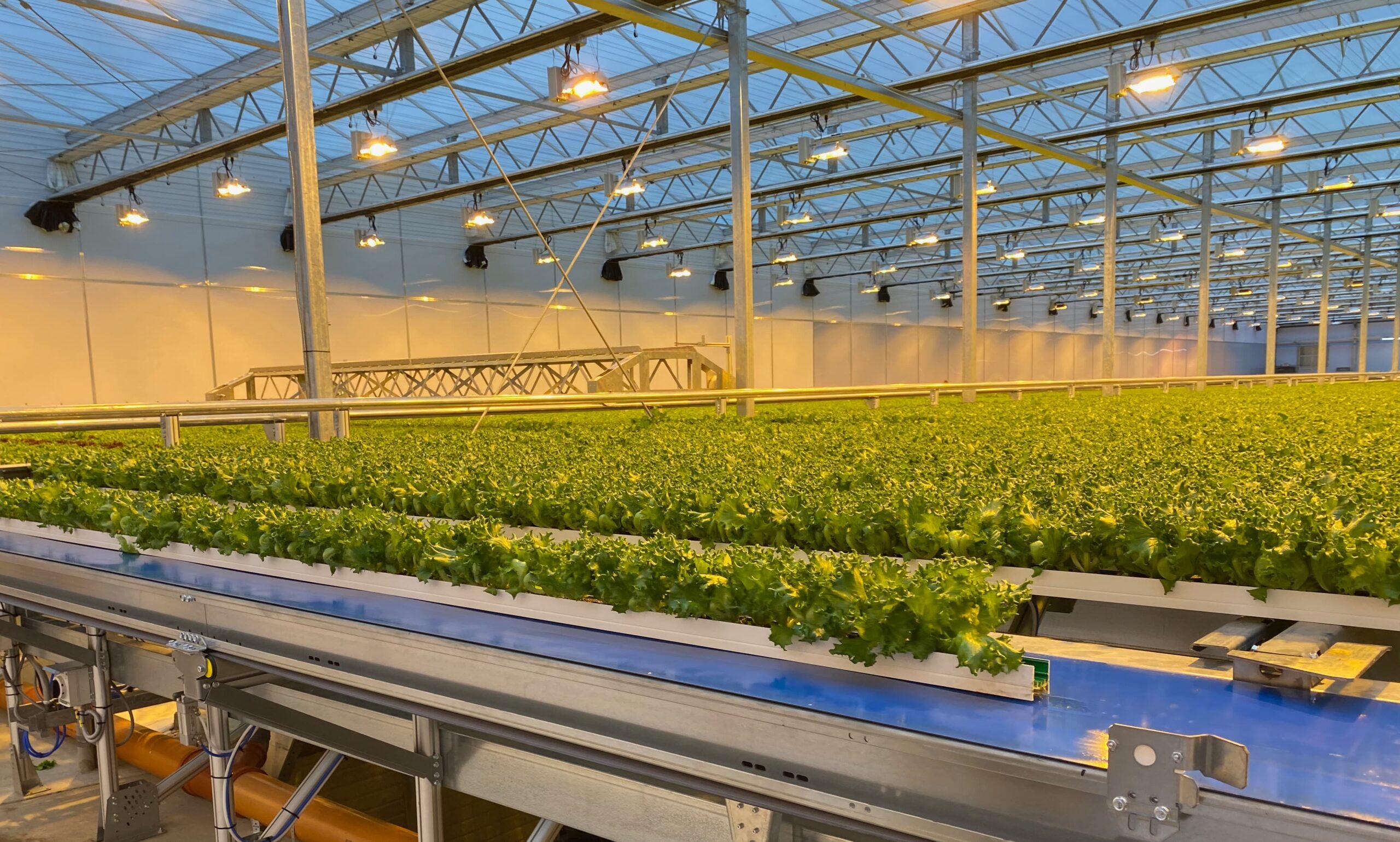 Fully Automated System Green Automation