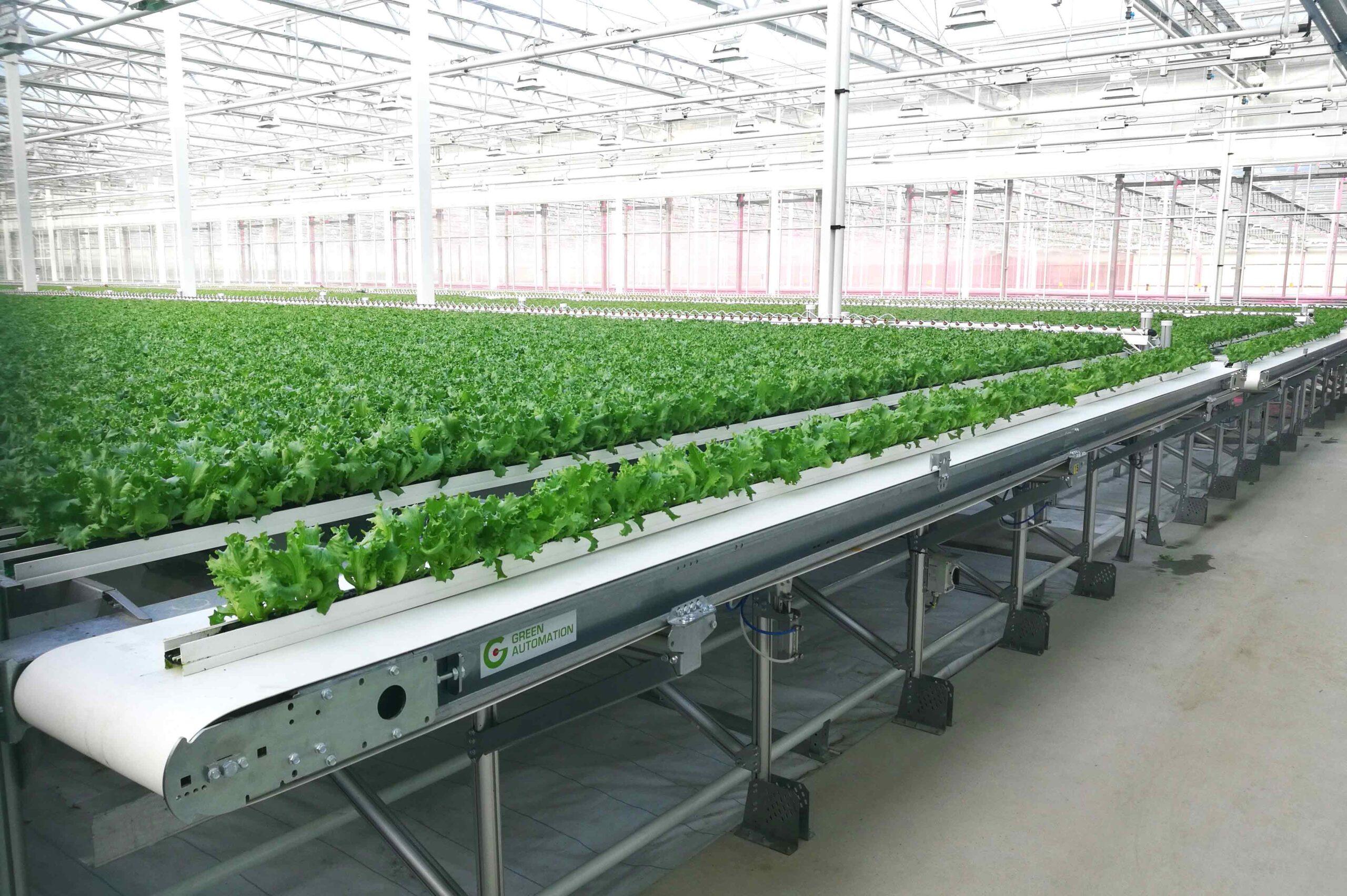 Fully Automated System Green Automation