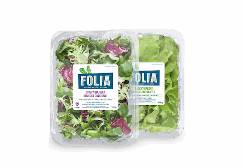 VegPro introducing Folia - Green Automation